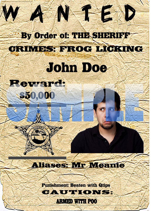 fallacy wanted poster